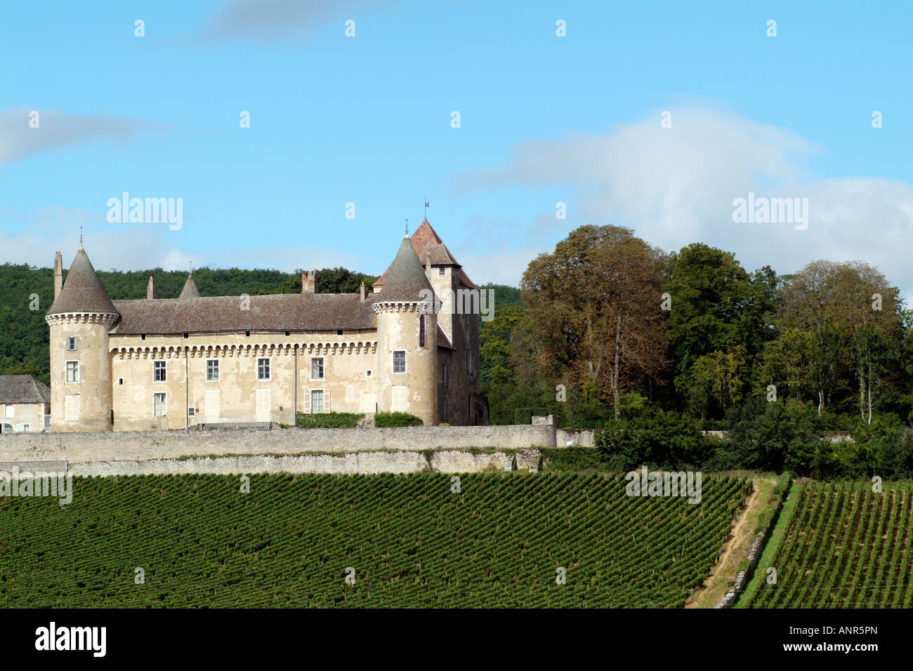 Chateau rully vineyard hi-res stock photography and images - Alamy