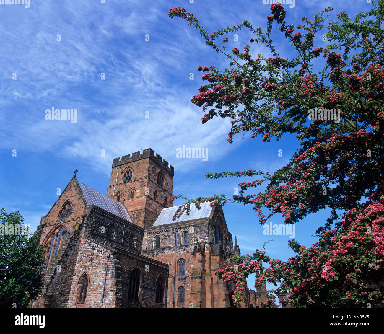 At carlisle cathedral hi-res stock photography and images - Alamy