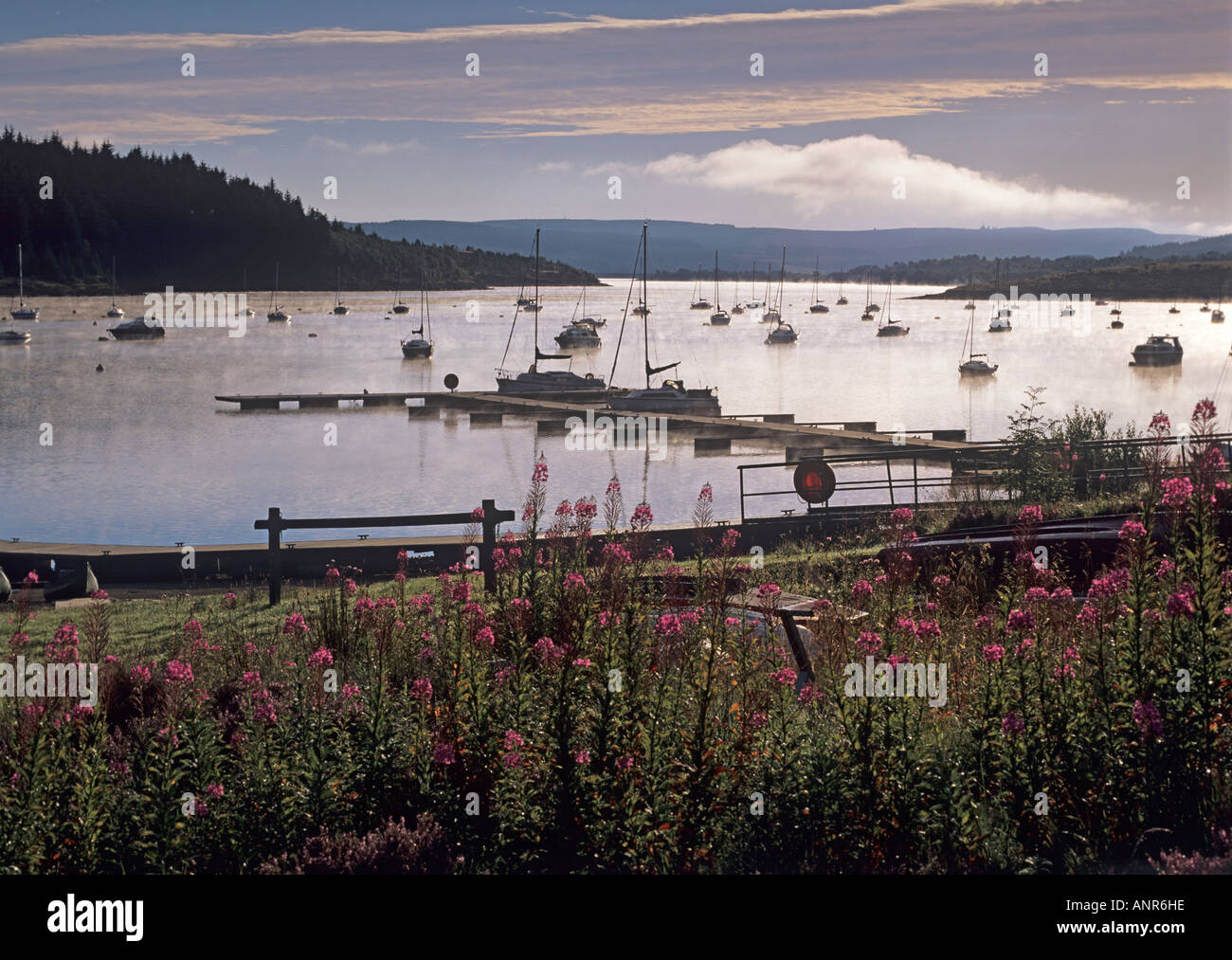 Kielder Water in Northumberland national Park England UK Stock Photo ...