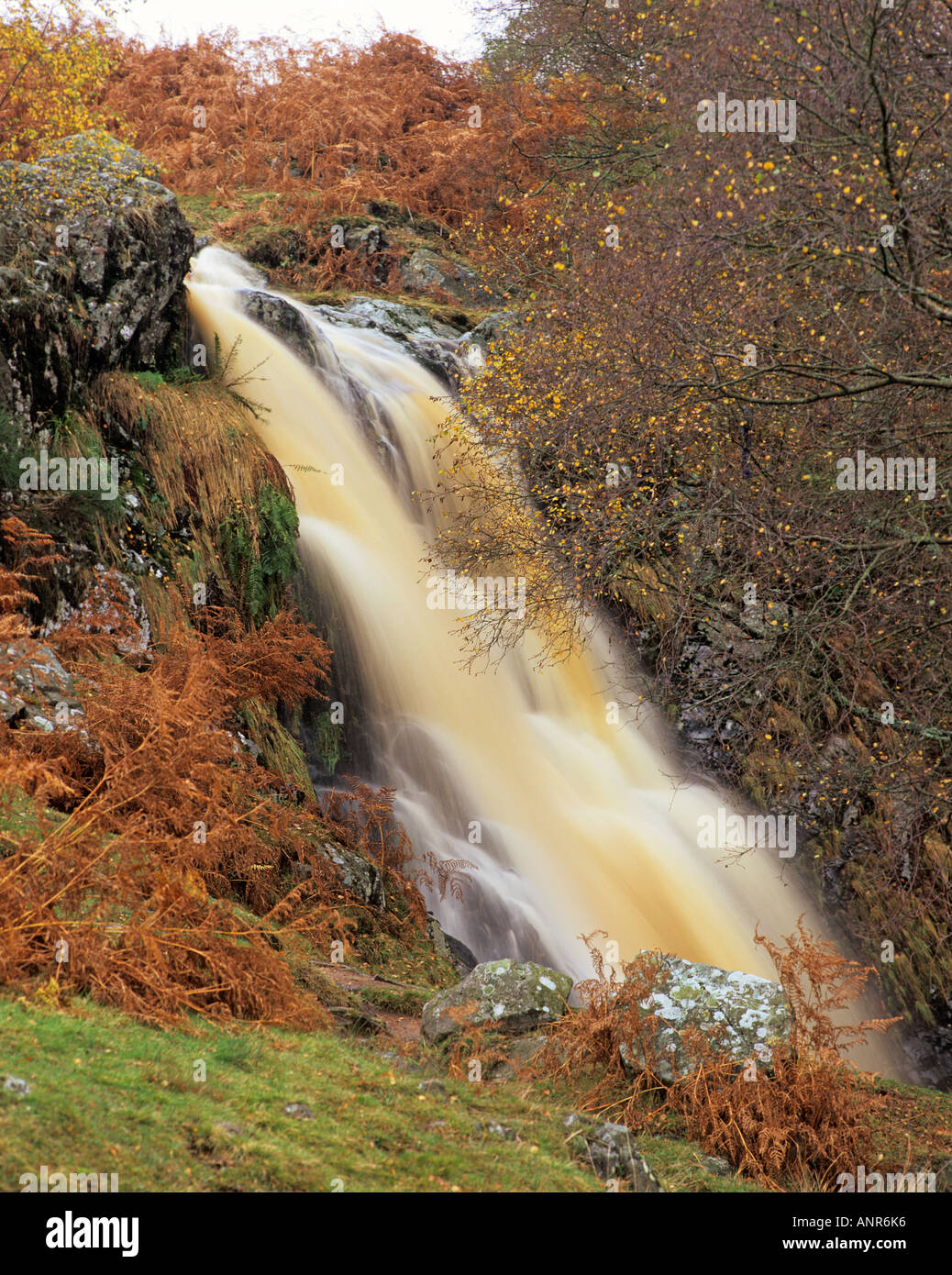 Linhope spout waterfall hi-res stock photography and images - Alamy