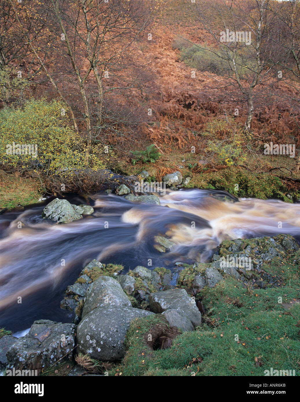 Linhope spout, northumberland hi-res stock photography and images - Alamy