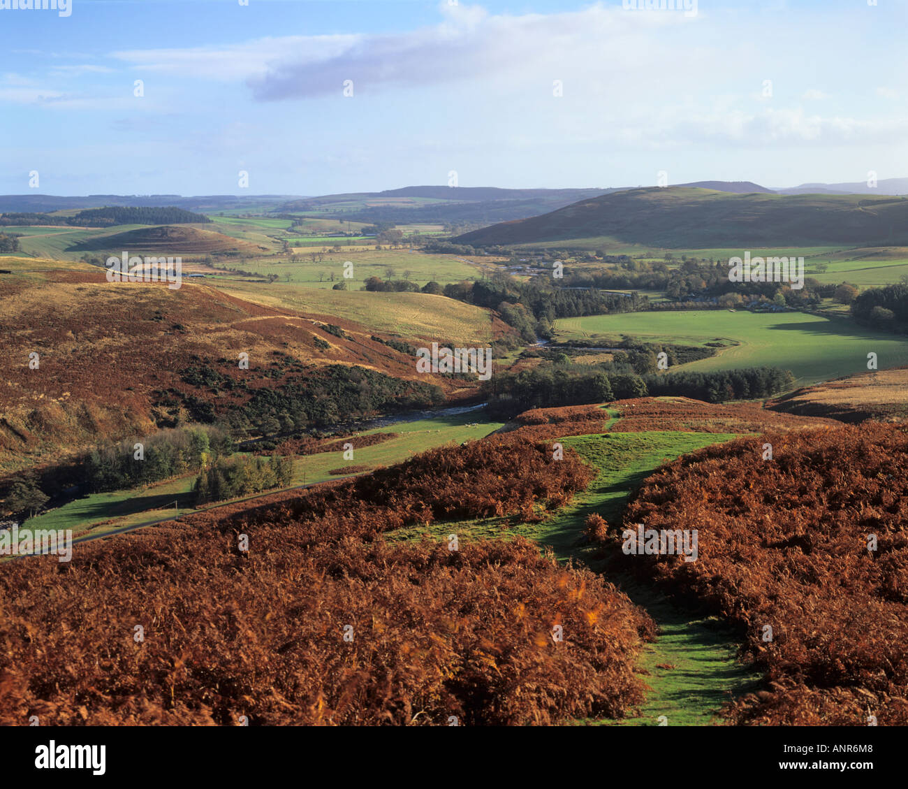 River Breamish runs through the Ingram Valley Northumberland National ...