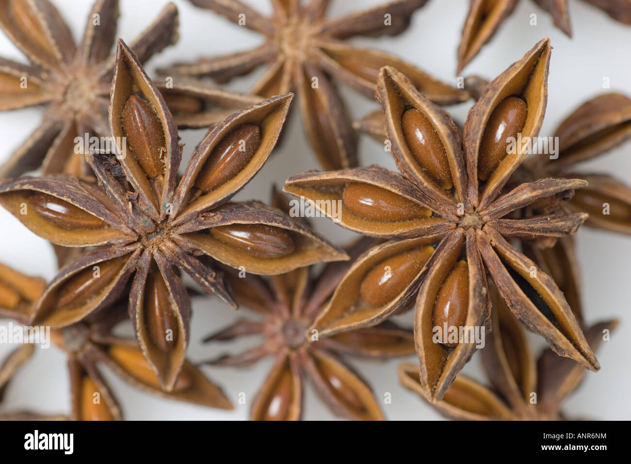 Star Anise spices Stock Photo - Alamy