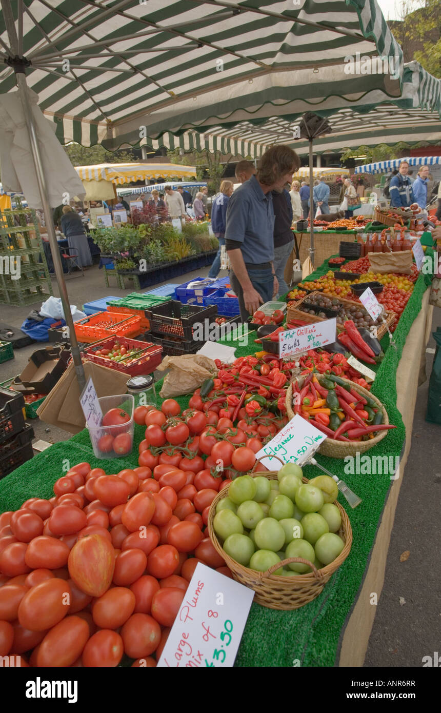 Tomato stall at the Hampshire Farmers market in Winchester Stock Photo ...
