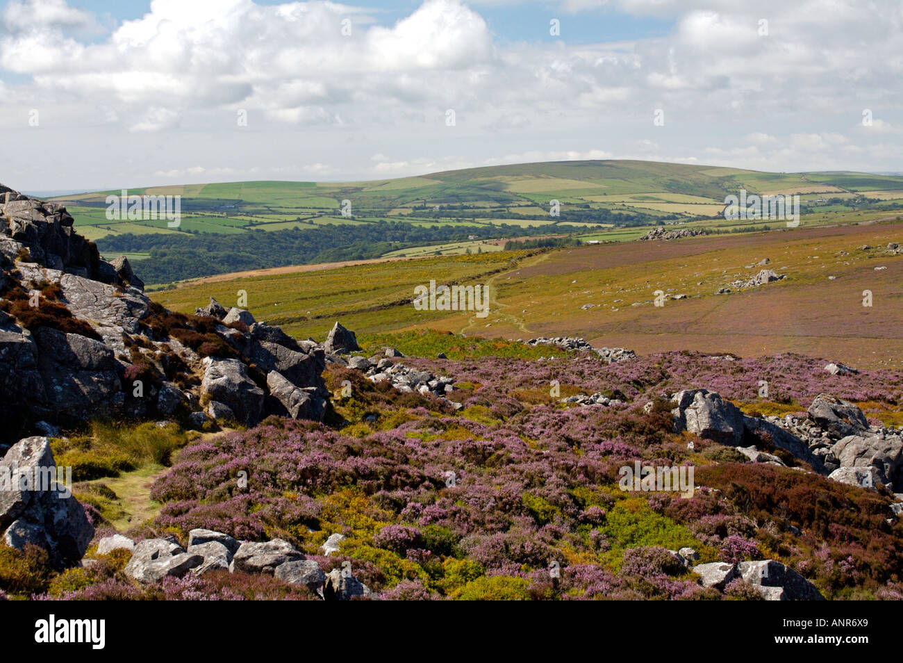 Carningli mountain hi-res stock photography and images - Alamy