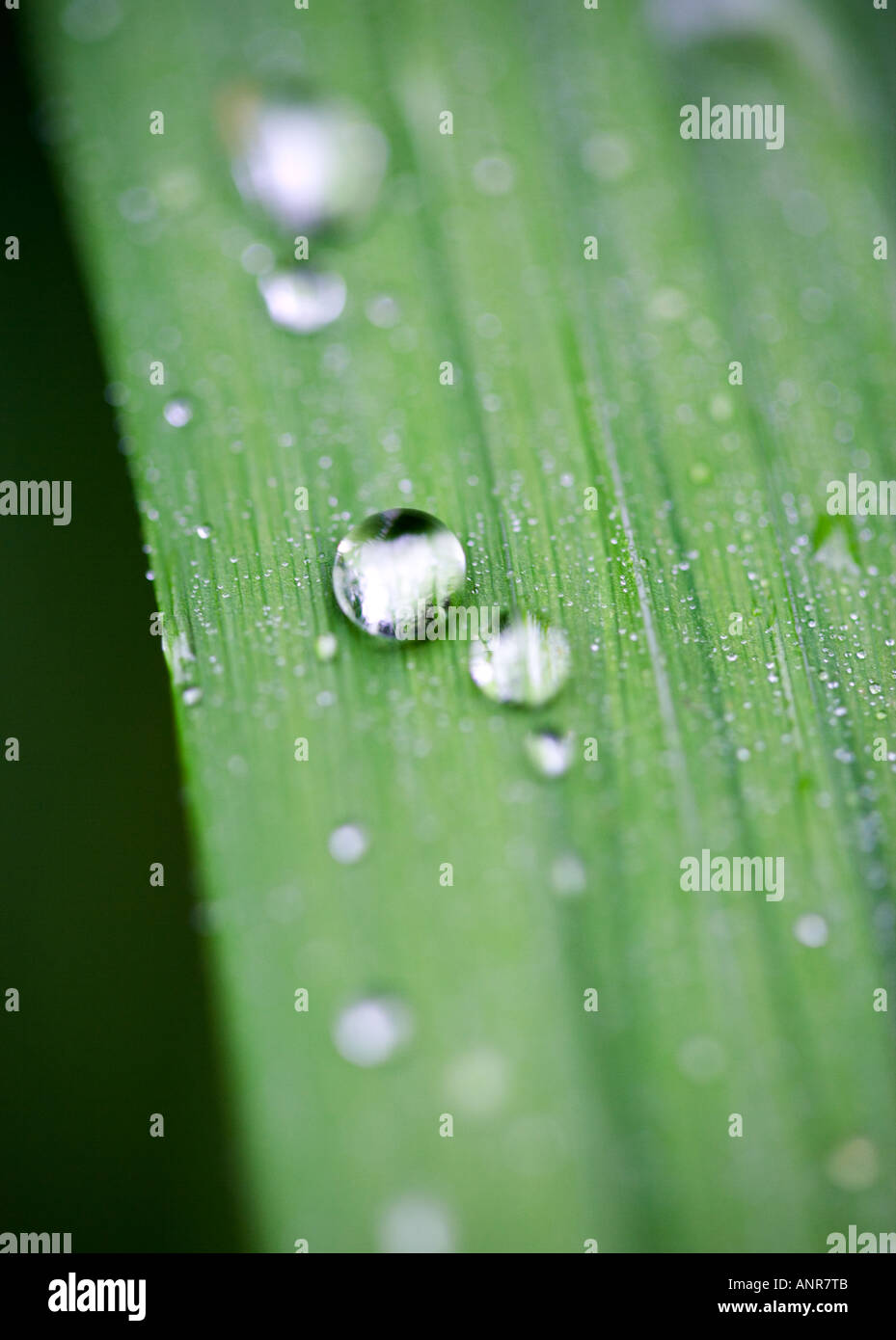 Bold water pattern hi-res stock photography and images - Alamy