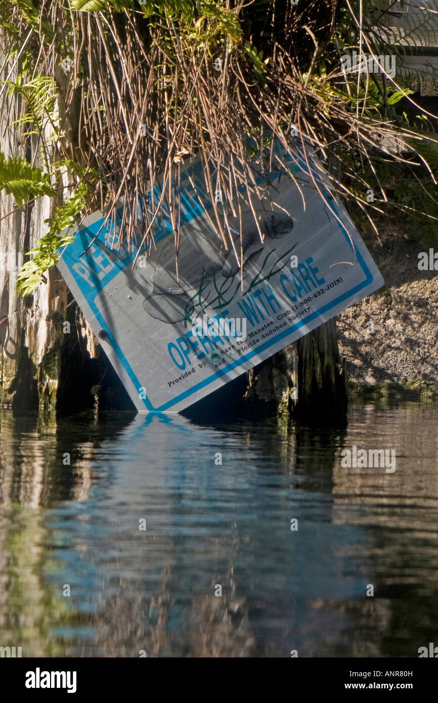 Manatee Boat Propeller High Resolution Stock Photography and Images - Alamy