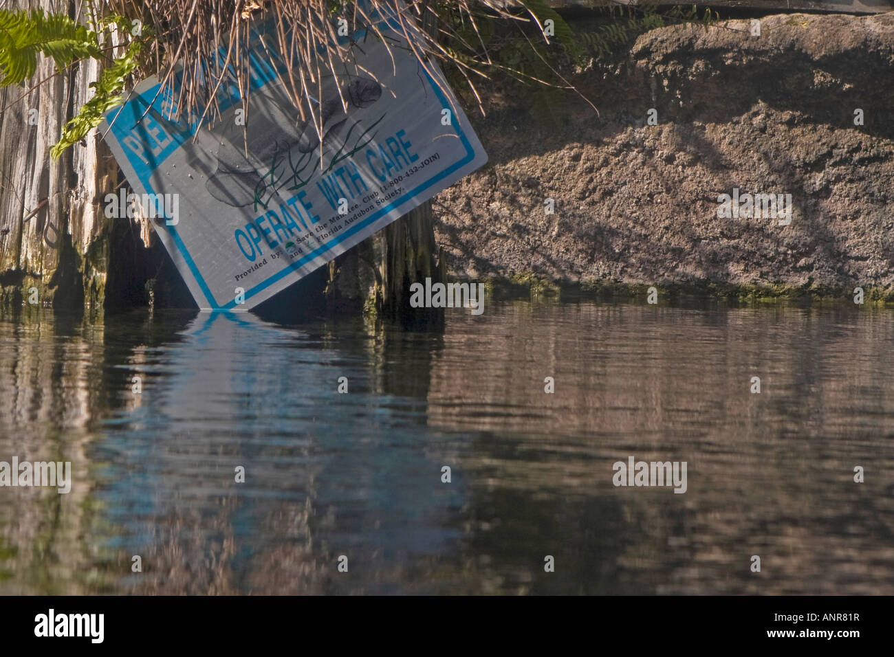 Manatee Boating Safety Sign Partially Covered with Brush Stock Photo ...