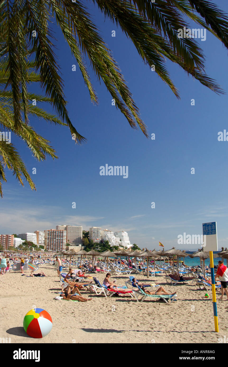beach Magaluf Majorca Balearic Island Spain Stock Photo - Alamy