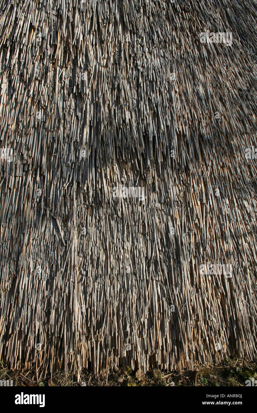 straw roof background texture Stock Photo - Alamy