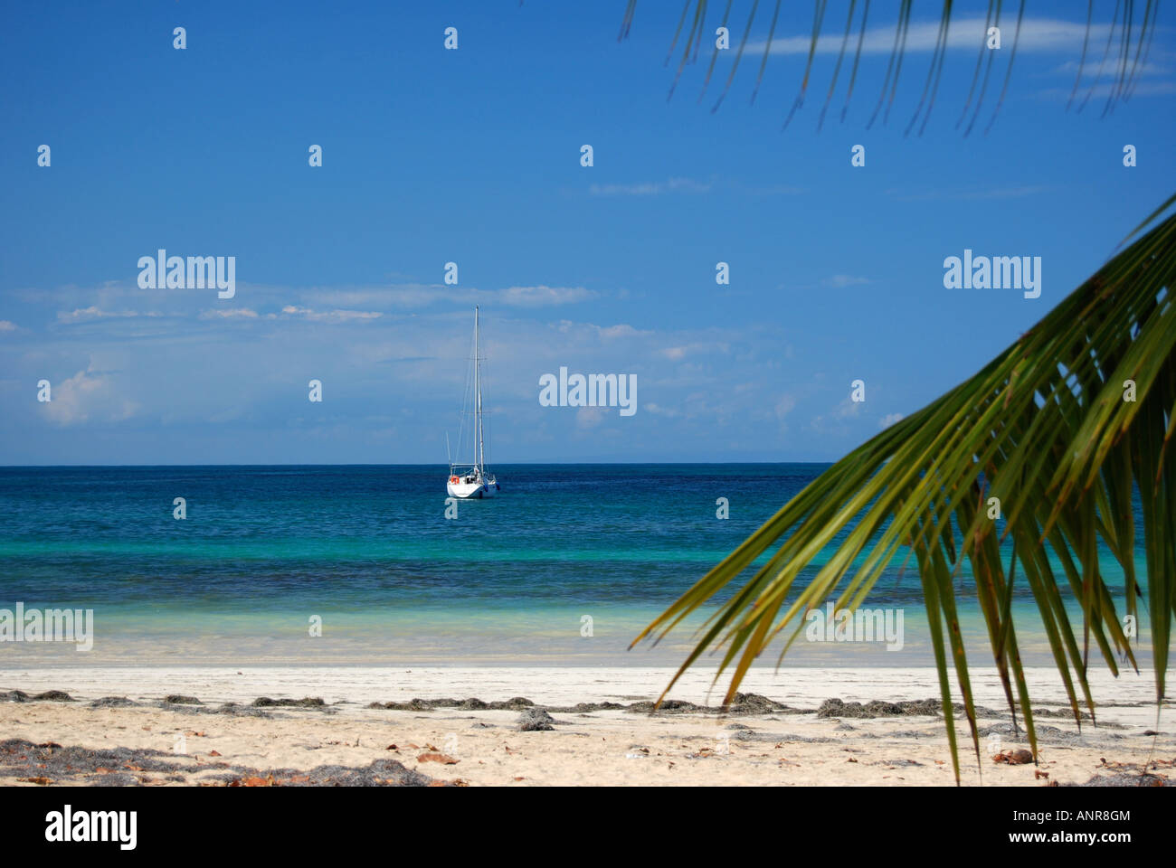 Beach at Punta Popy, Dominican Republic, Caribbean Stock Photo - Alamy