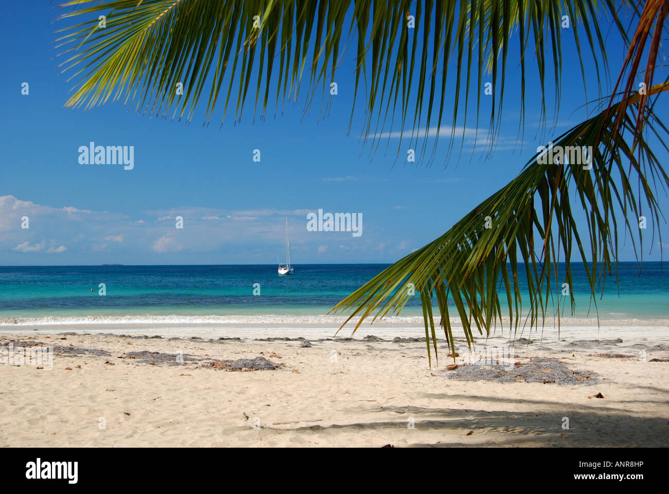 Beach at Punta Popy, Dominican Republic, Caribbean Stock Photo - Alamy