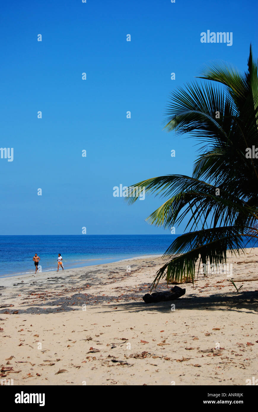 Punta popy hi-res stock photography and images - Alamy