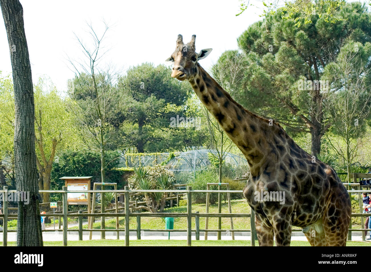 Parco zoo punta verde hi-res stock photography and images - Alamy