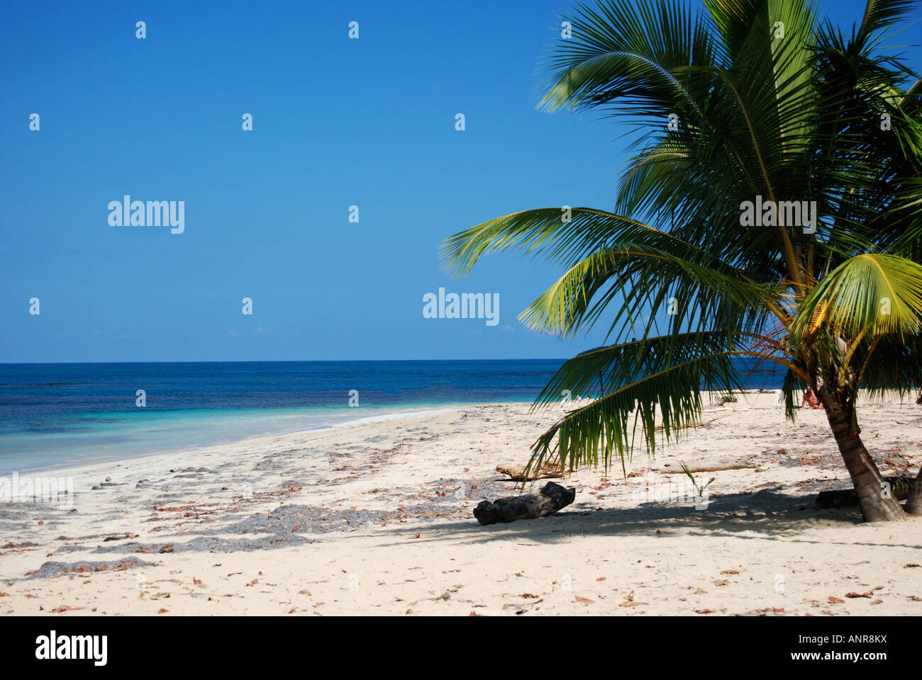 Beach at Punta Popy, Dominican Republic, Caribbean Stock Photo - Alamy