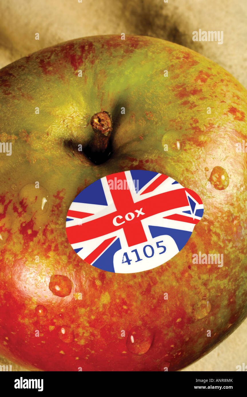 British Cox apple with supermarket produce label Stock Photo - Alamy