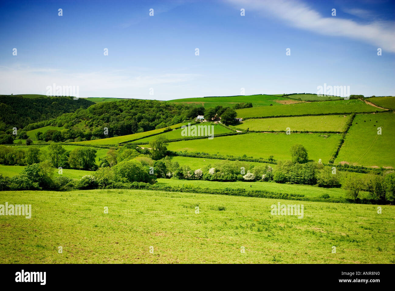 Common name: Landscape Stock Photo - Alamy