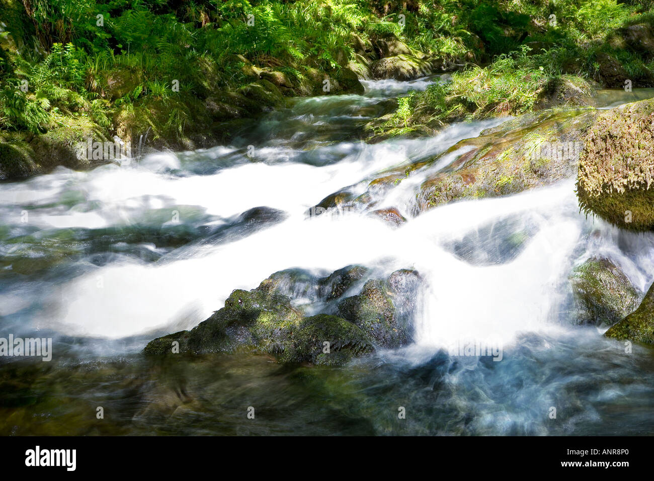 Common name: River Stock Photo - Alamy