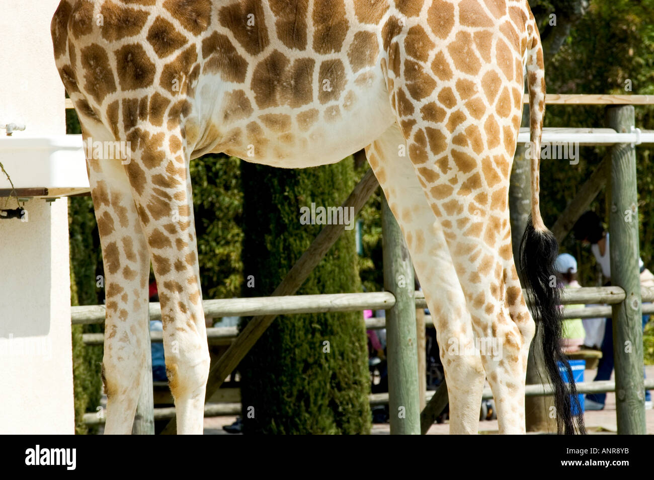 at zoo punta verde of lignano - udine italy Stock Photo - Alamy