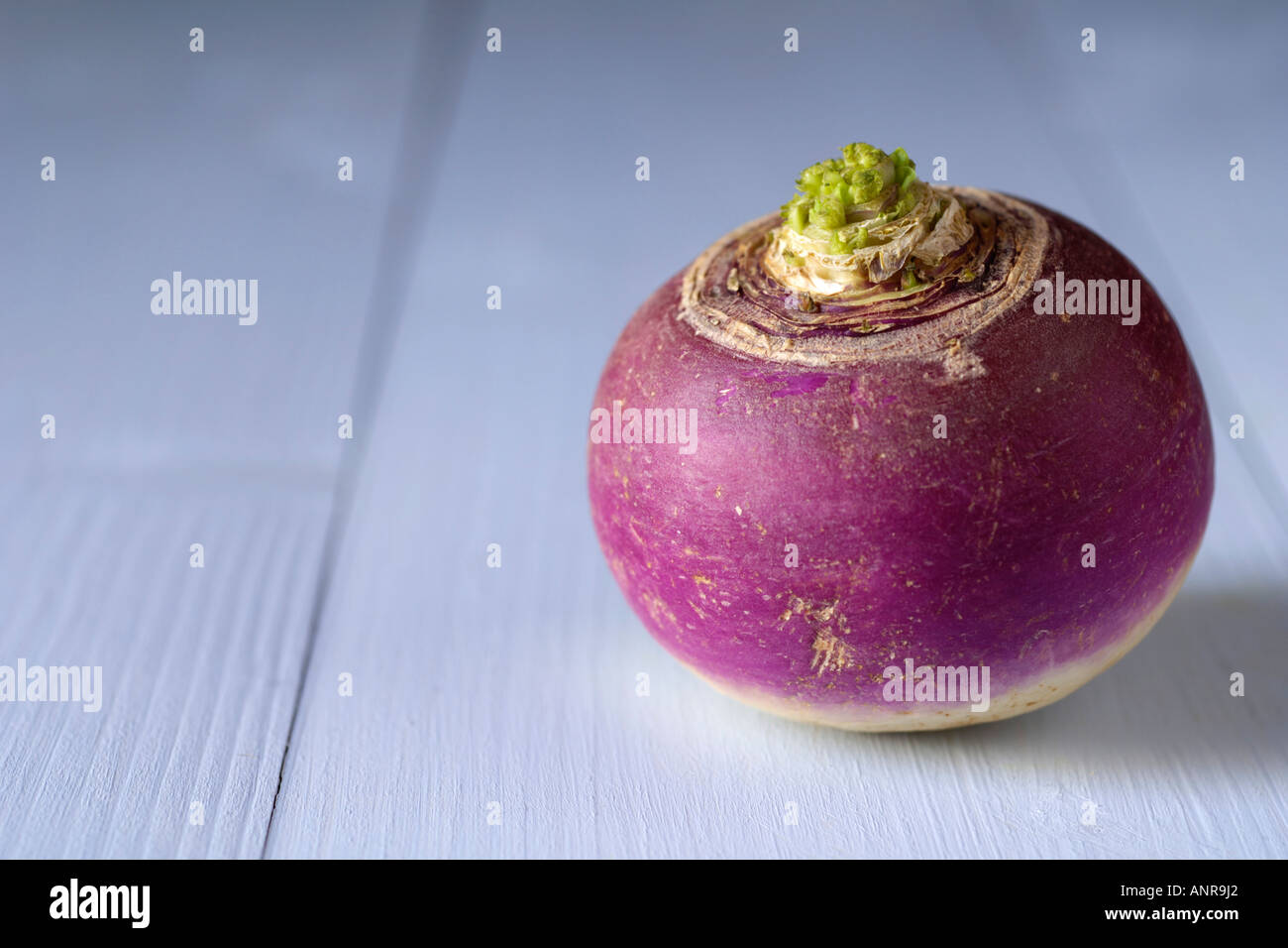 The turnip hi-res stock photography and images - Alamy