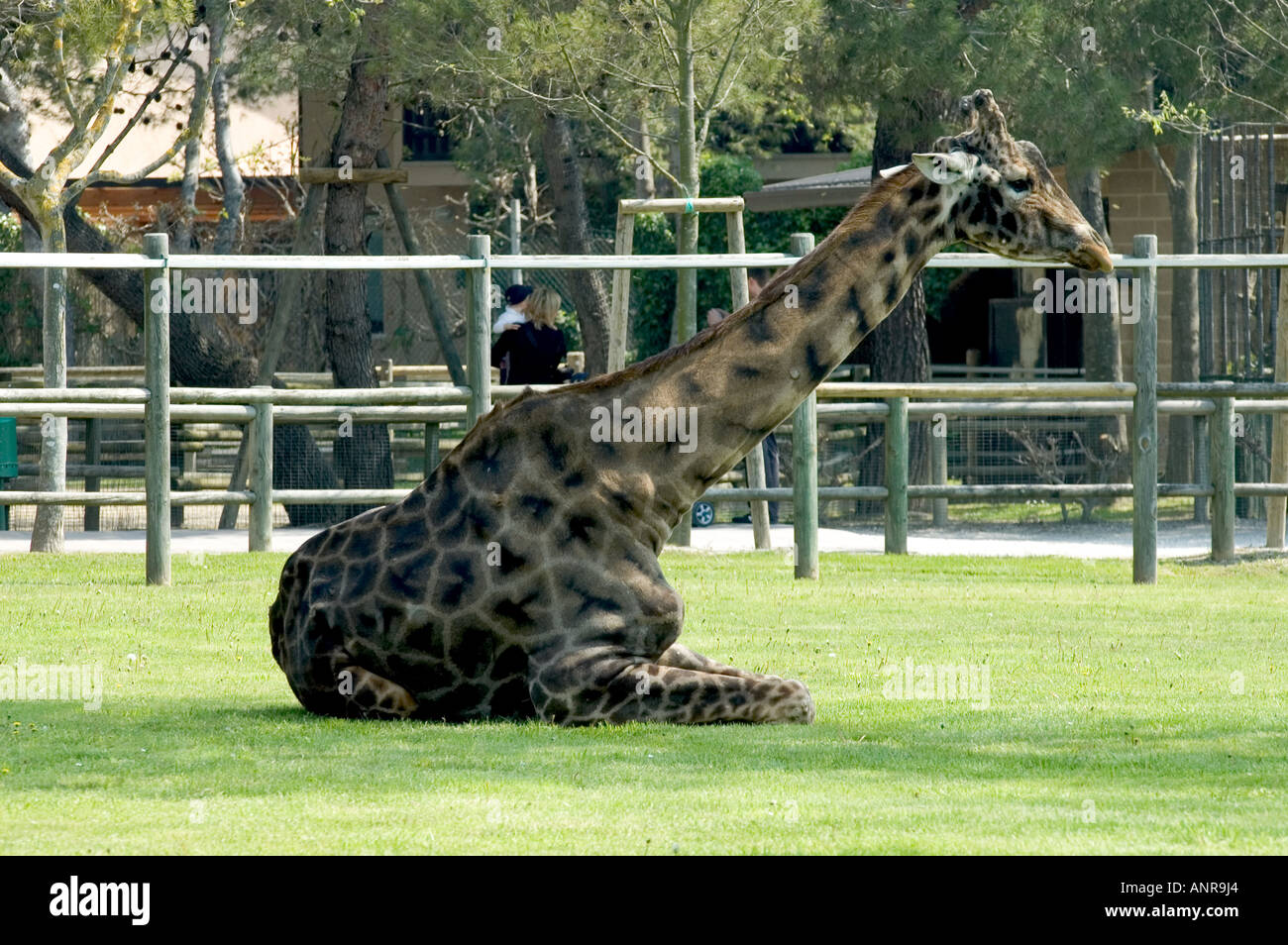 Parco zoo punta verde hi-res stock photography and images - Alamy
