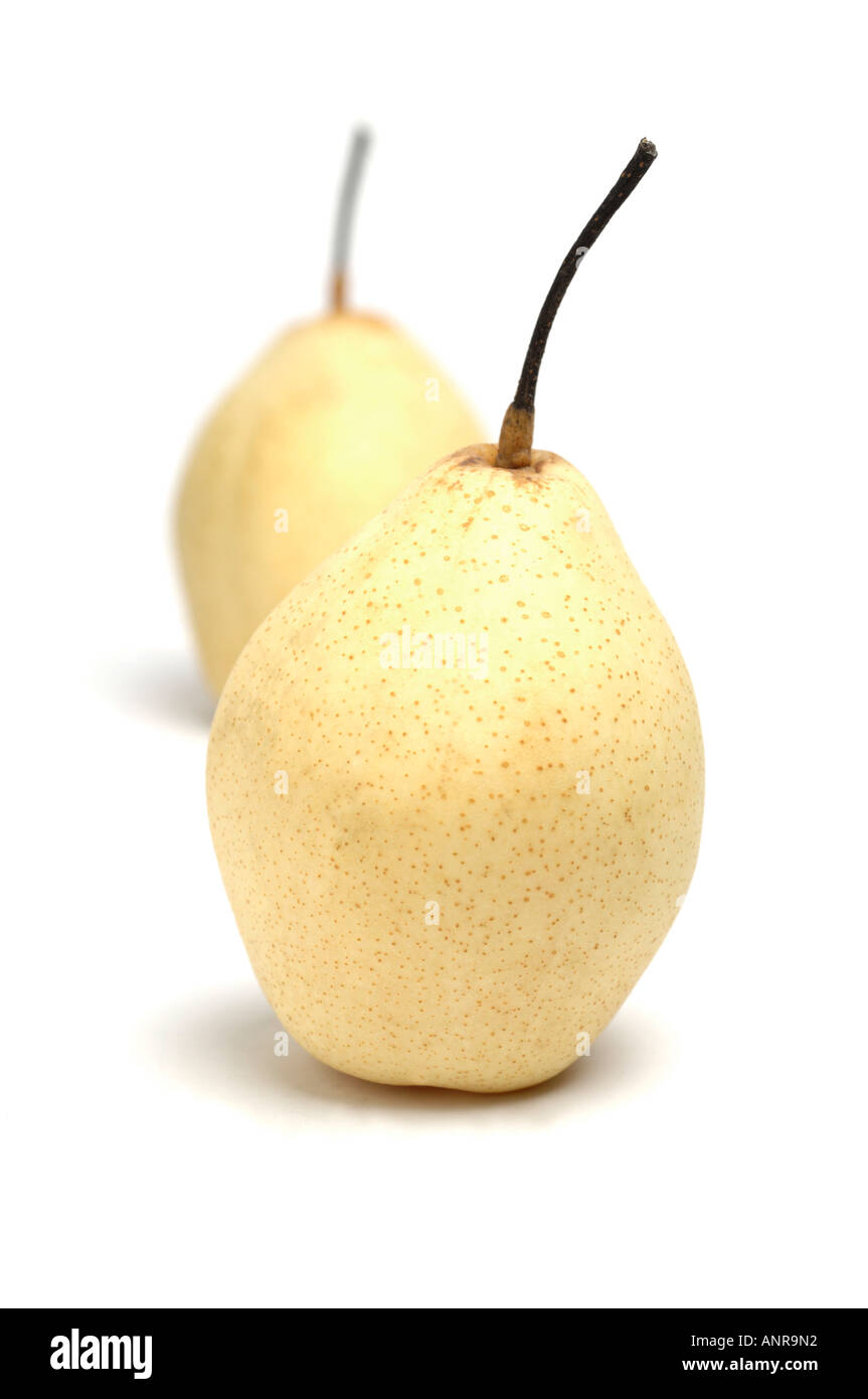 Nashi Asian or Sand Pears on white background Stock Photo - Alamy