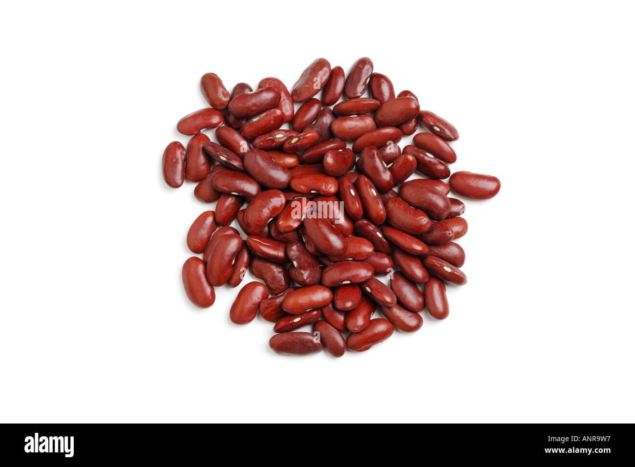 Dried Red Kidney Beans on white background Stock Photo - Alamy