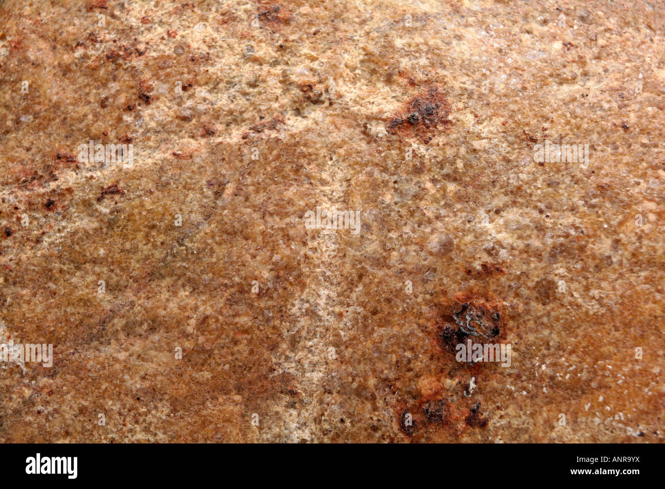 Glacial quartzite cobble, pre-Kansas till showing plough strikes and ...