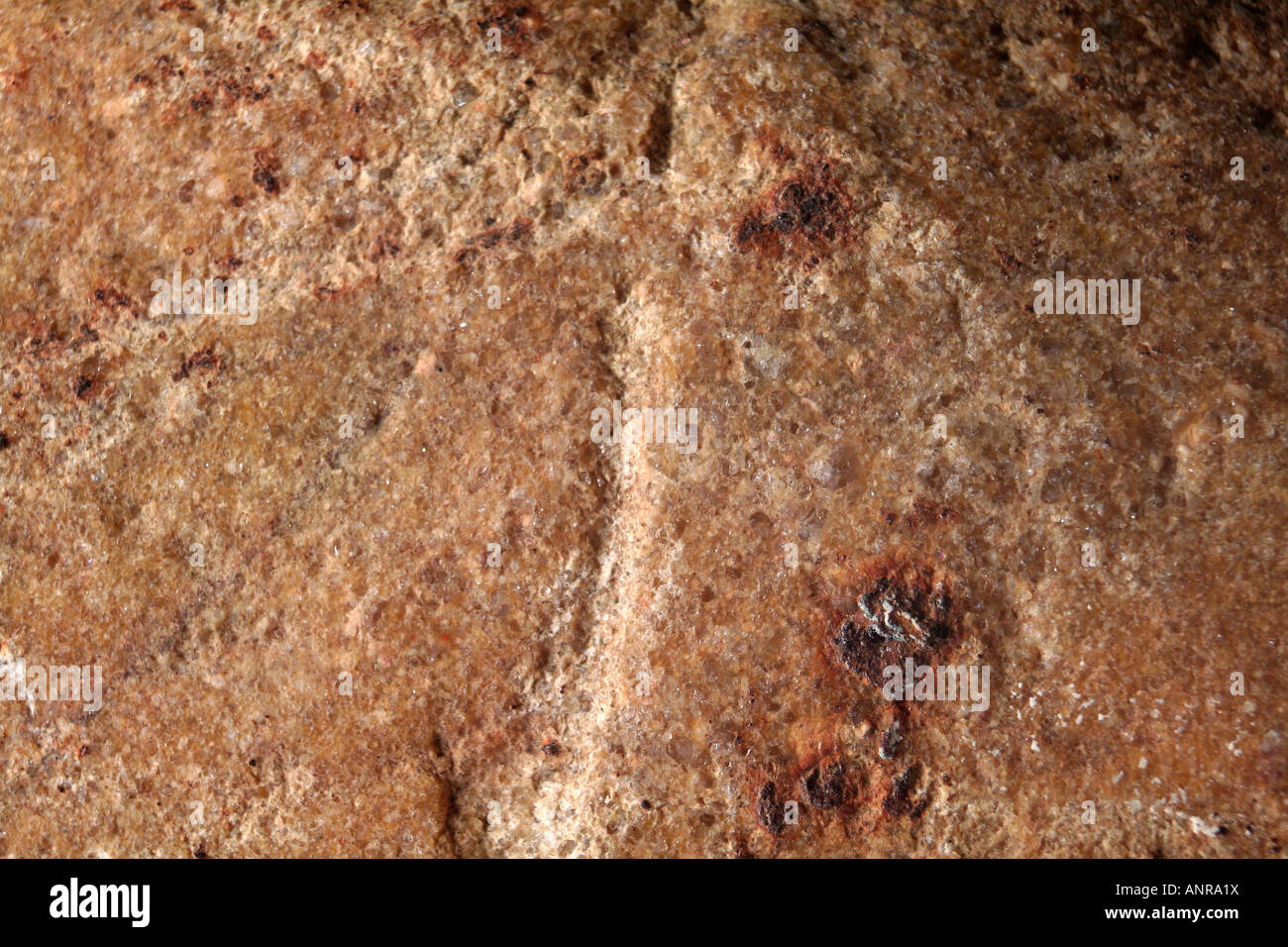 Glacial quartzite cobble, pre-Kansas till showing plough strikes and ...