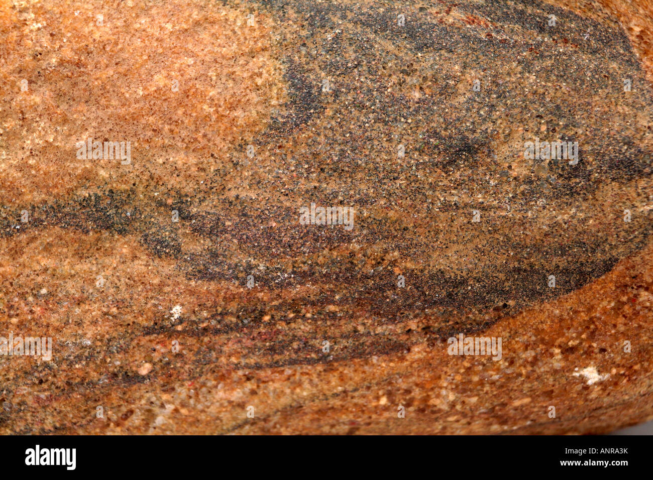 Glacial quartzite cobble, pre-Kansas till showing banding from its ...