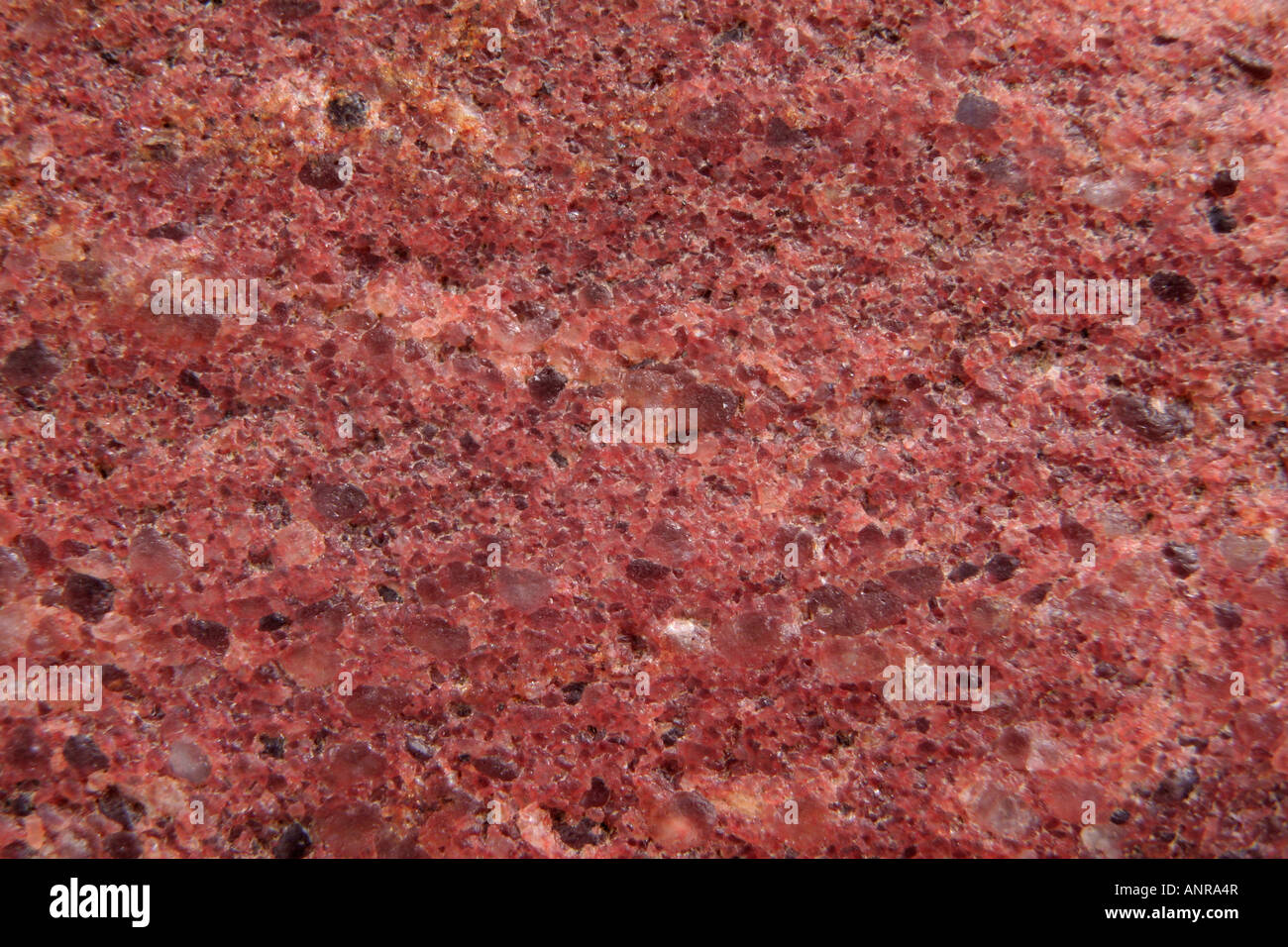 Close up of glacially polished surface of a red quartzite cobble, pre ...