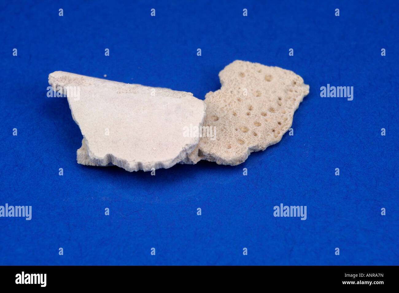 Calcium carbonate scale hi-res stock photography and images - Alamy