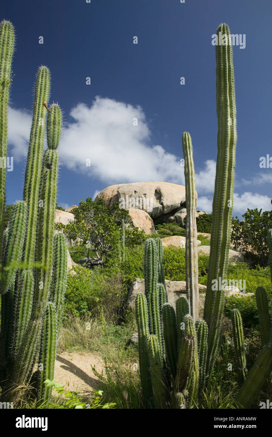 ABC Islands, ARUBA, Paradera: View of Ayo Rock Formation Stock Photo ...