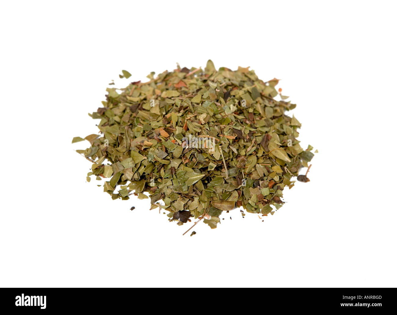 Common name: Bearsberry Latin name: Arctostaphylos Uva-Ursi Stock Photo ...