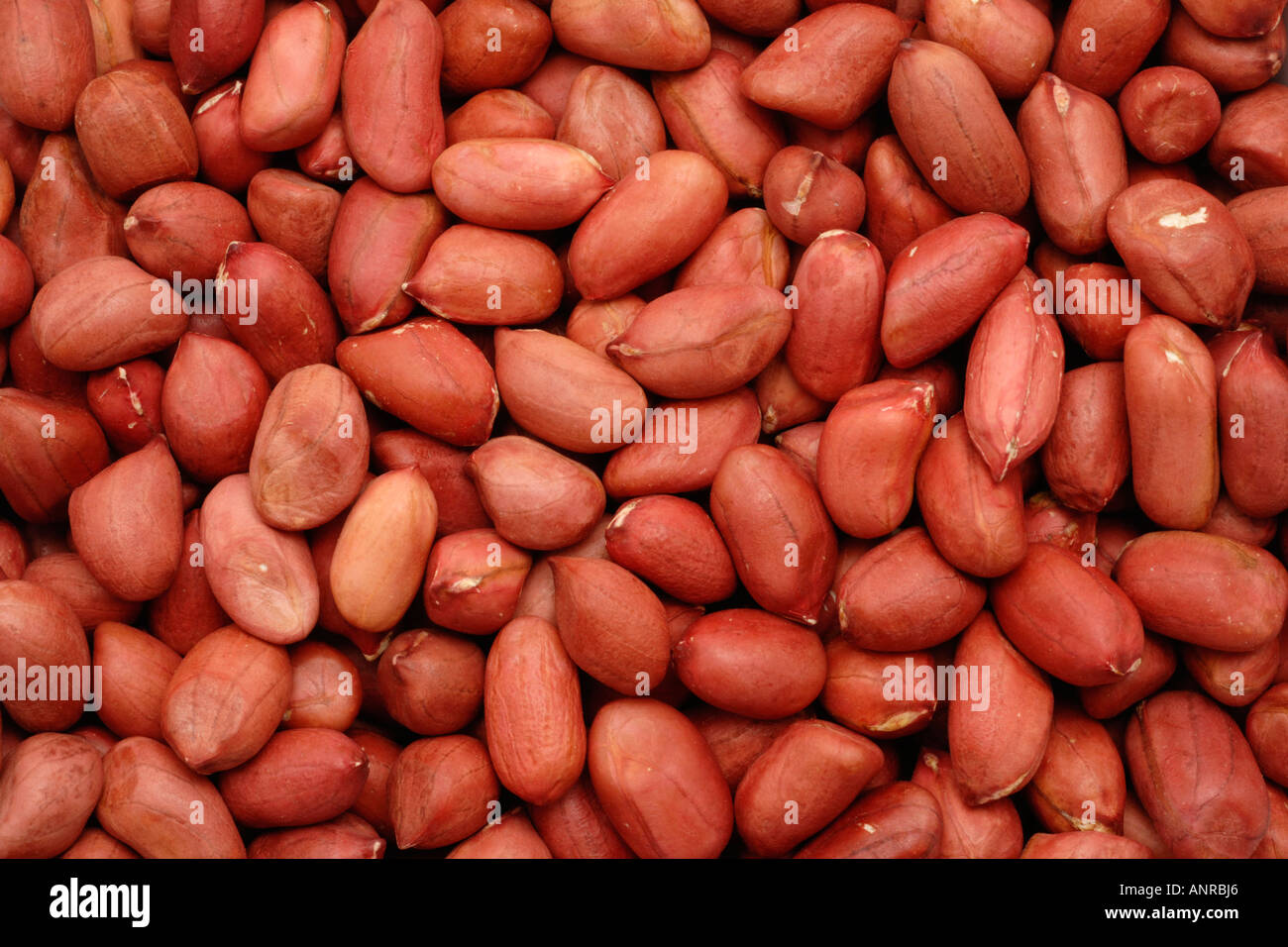 Red skin peanuts Stock Photo - Alamy