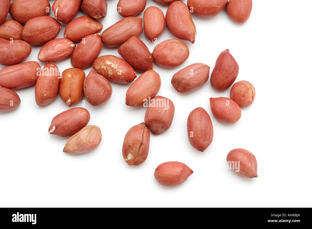 Red skin peanuts on white background Stock Photo - Alamy