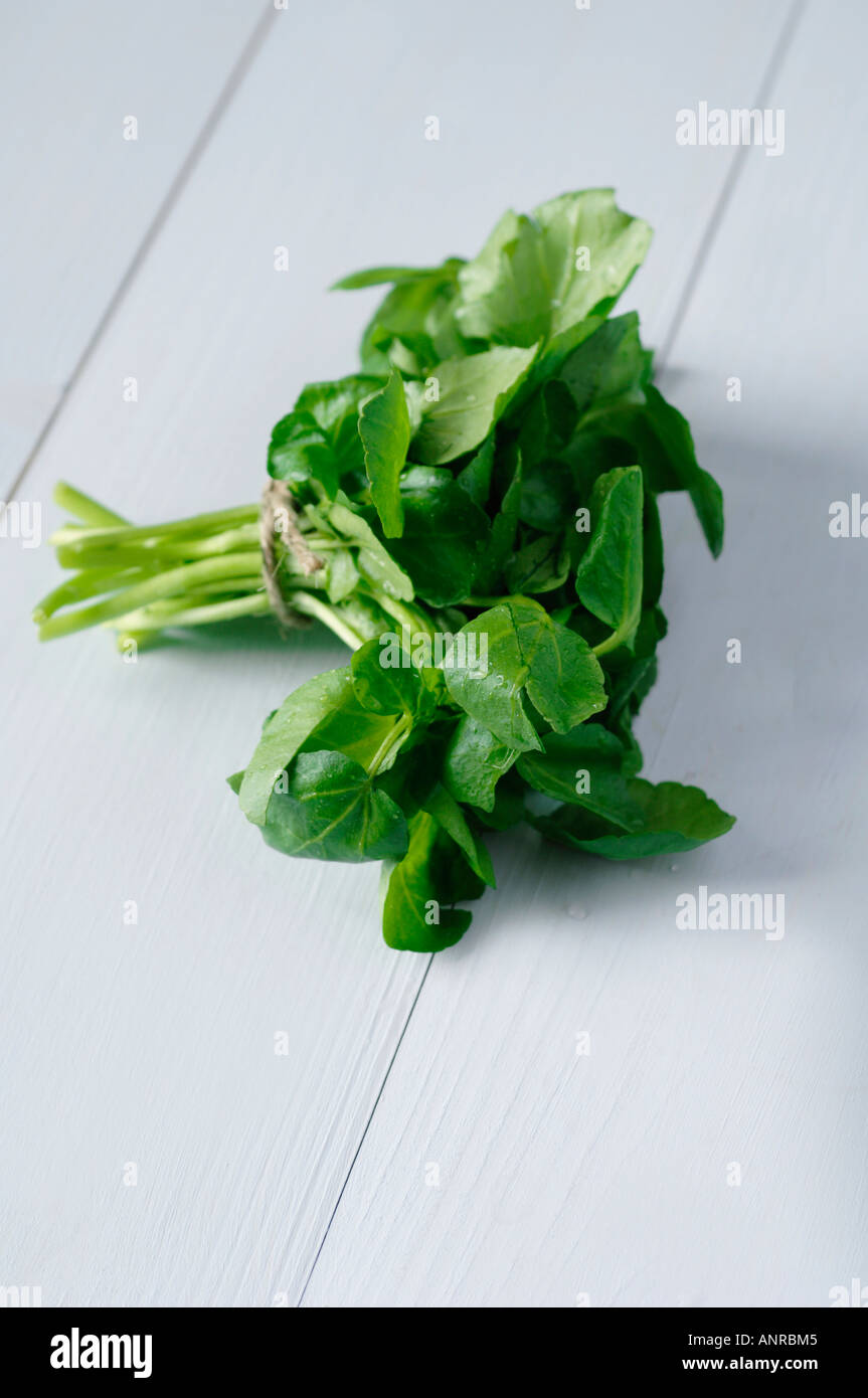Peppery watercress hi-res stock photography and images - Alamy