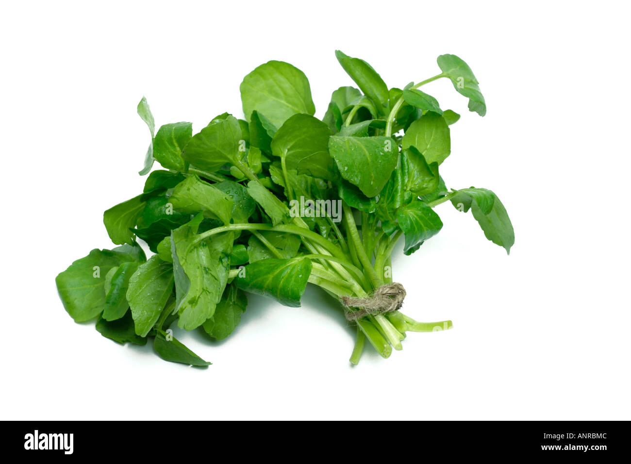 Watercress bunch on white background Stock Photo - Alamy
