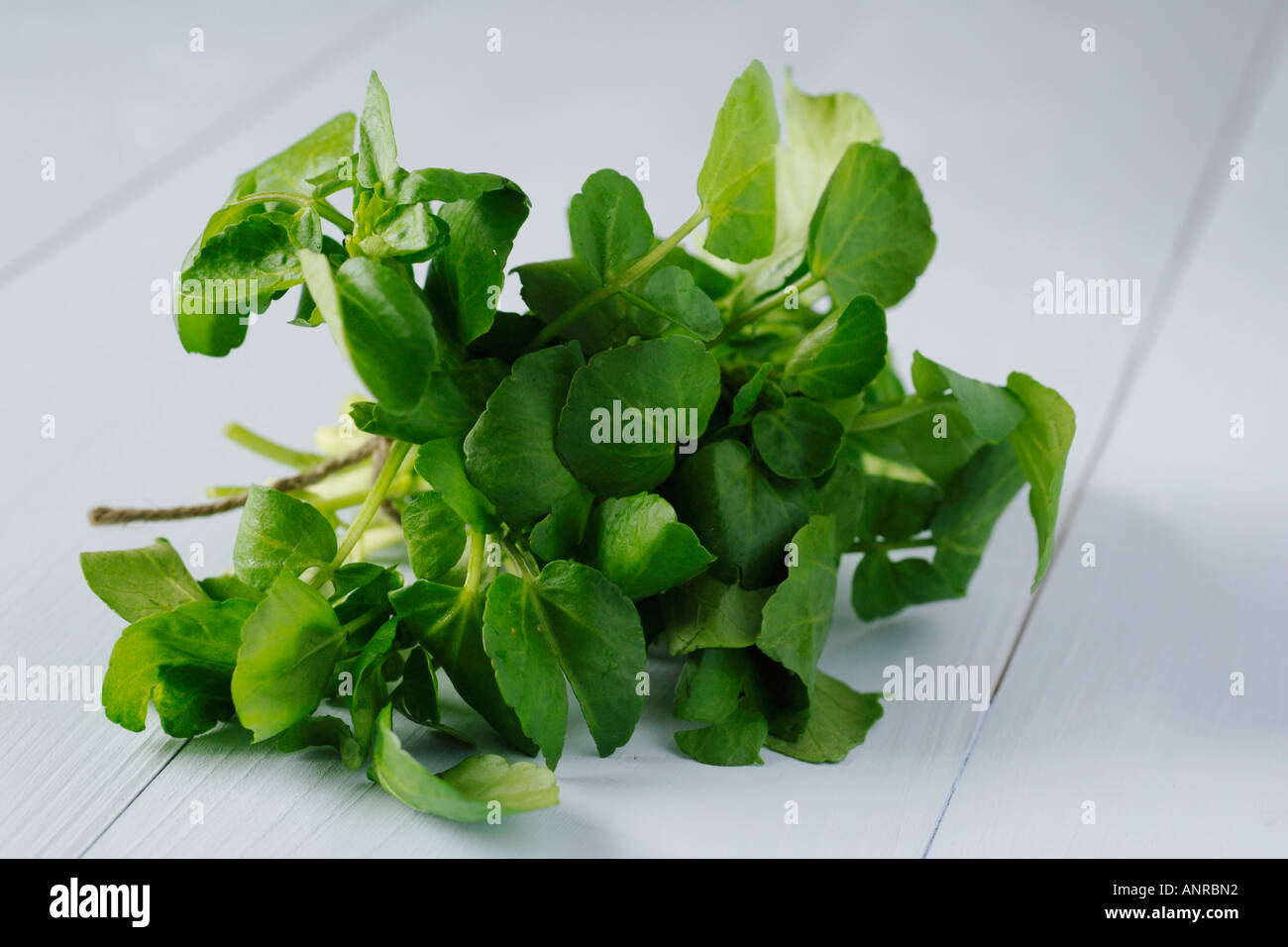 Peppery watercress hi-res stock photography and images - Alamy