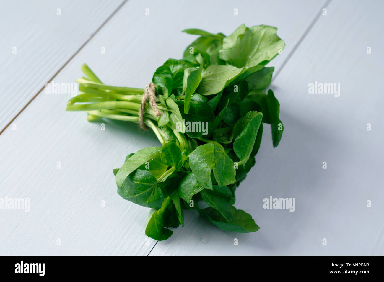 Peppery watercress hi-res stock photography and images - Alamy
