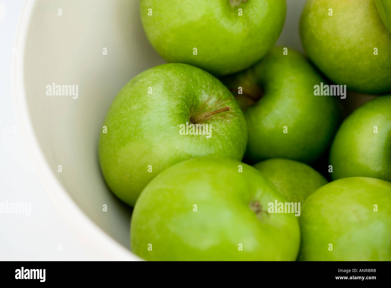 COMMON NAMEL: Green apples LATIN NAME: Malus Stock Photo - Alamy