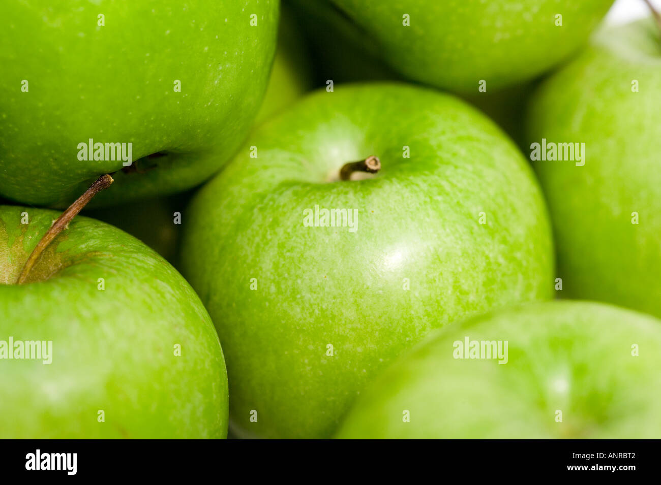 Green apples latin name hi-res stock photography and images - Alamy
