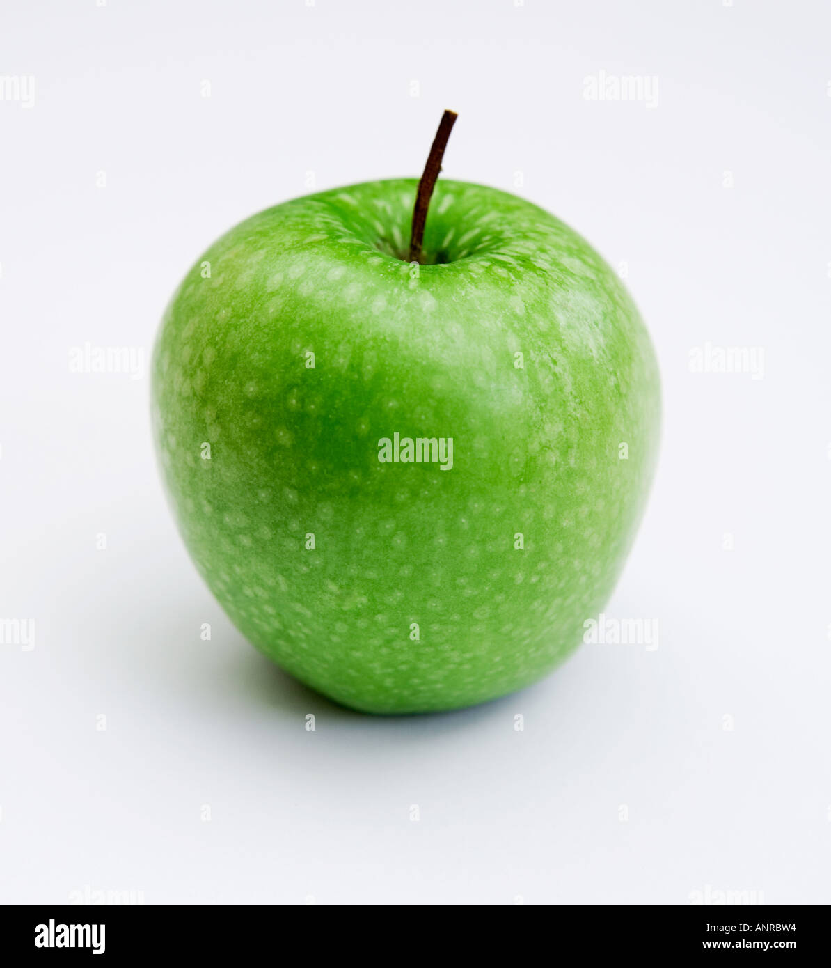 COMMON NAMEL: Green apples LATIN NAME: Malus Stock Photo - Alamy