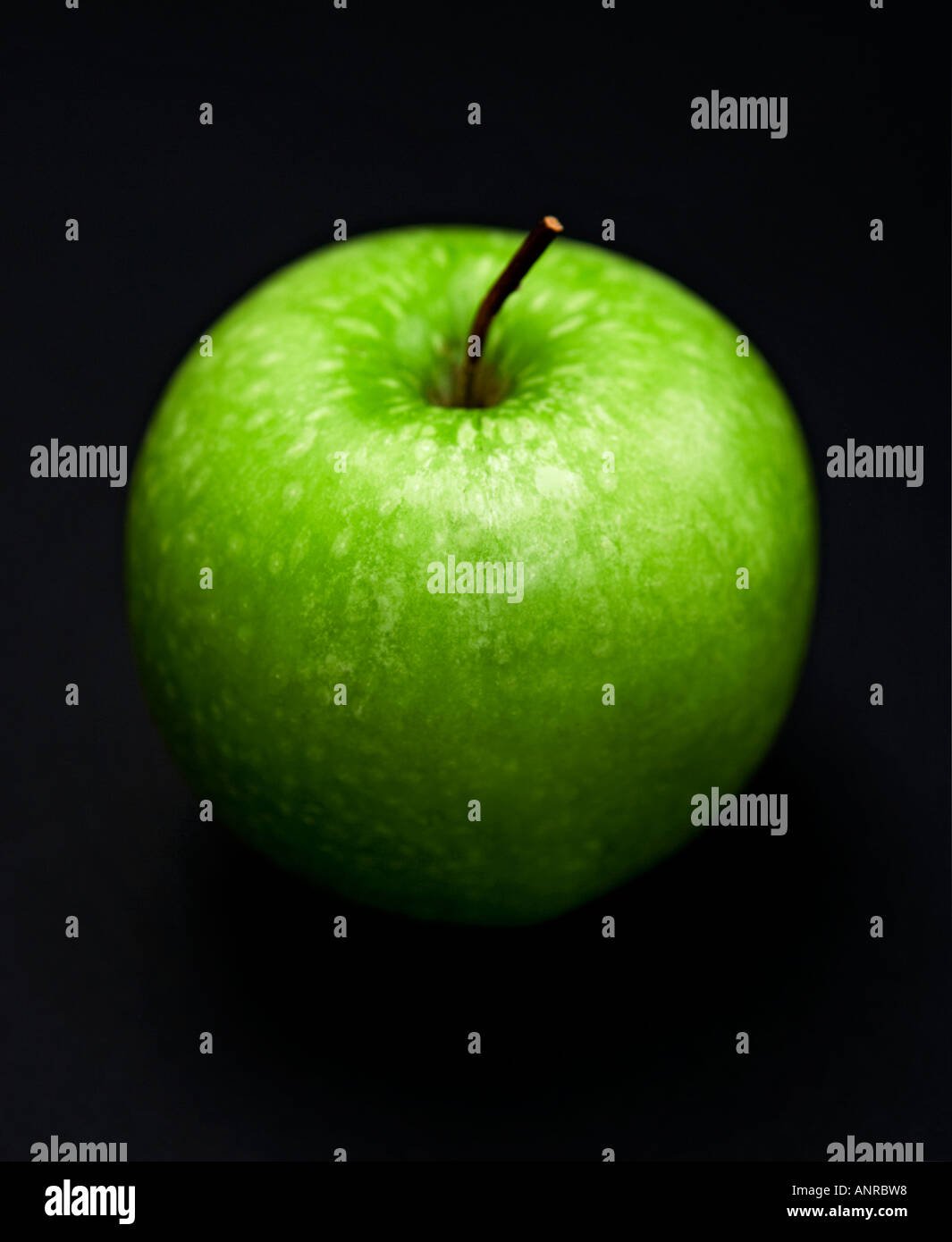 COMMON NAMEL: Green apple LATIN NAME: Malus Stock Photo - Alamy
