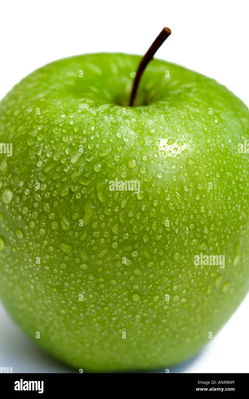 Apple latin name hi-res stock photography and images - Alamy