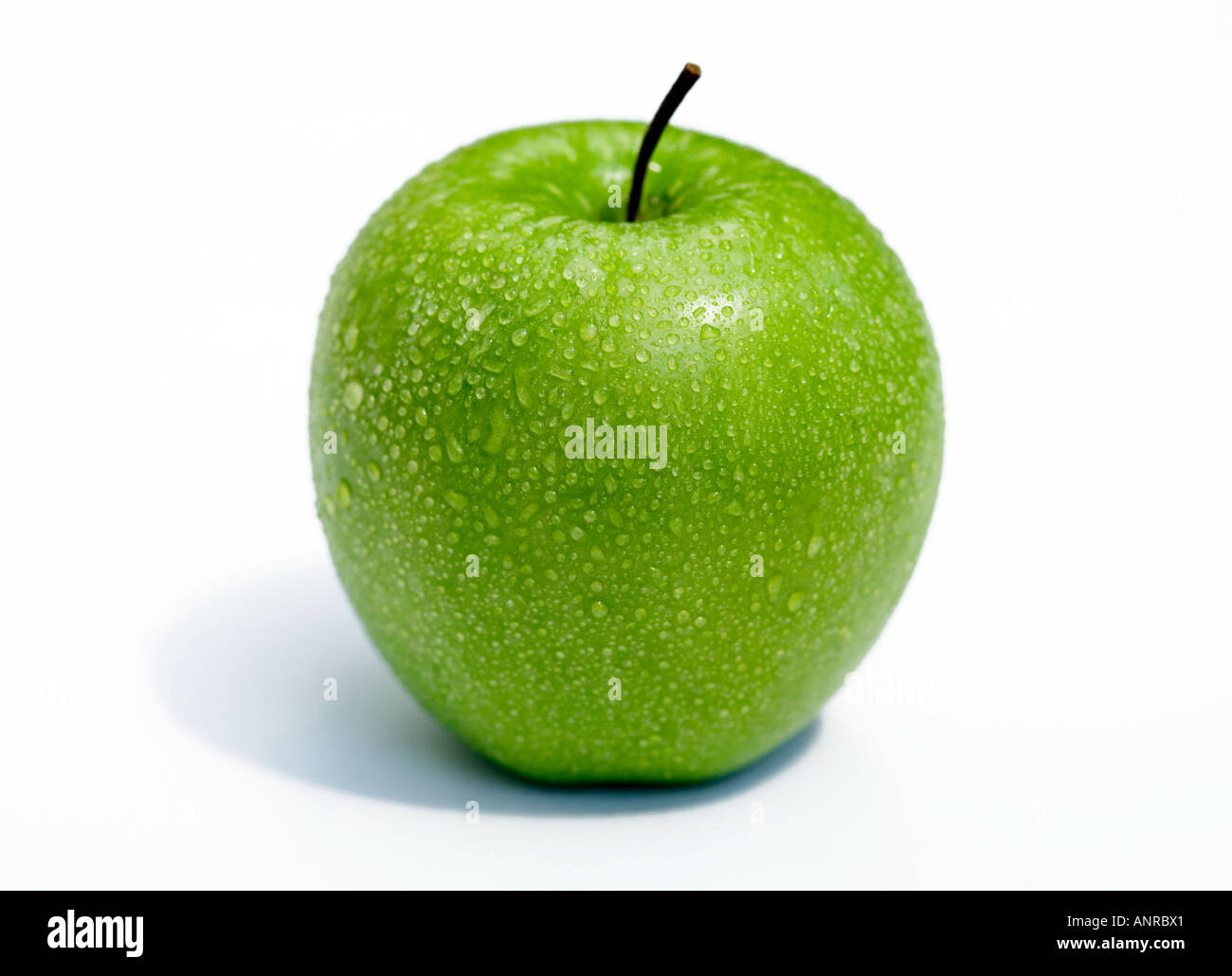 Apple latin name hi-res stock photography and images - Alamy