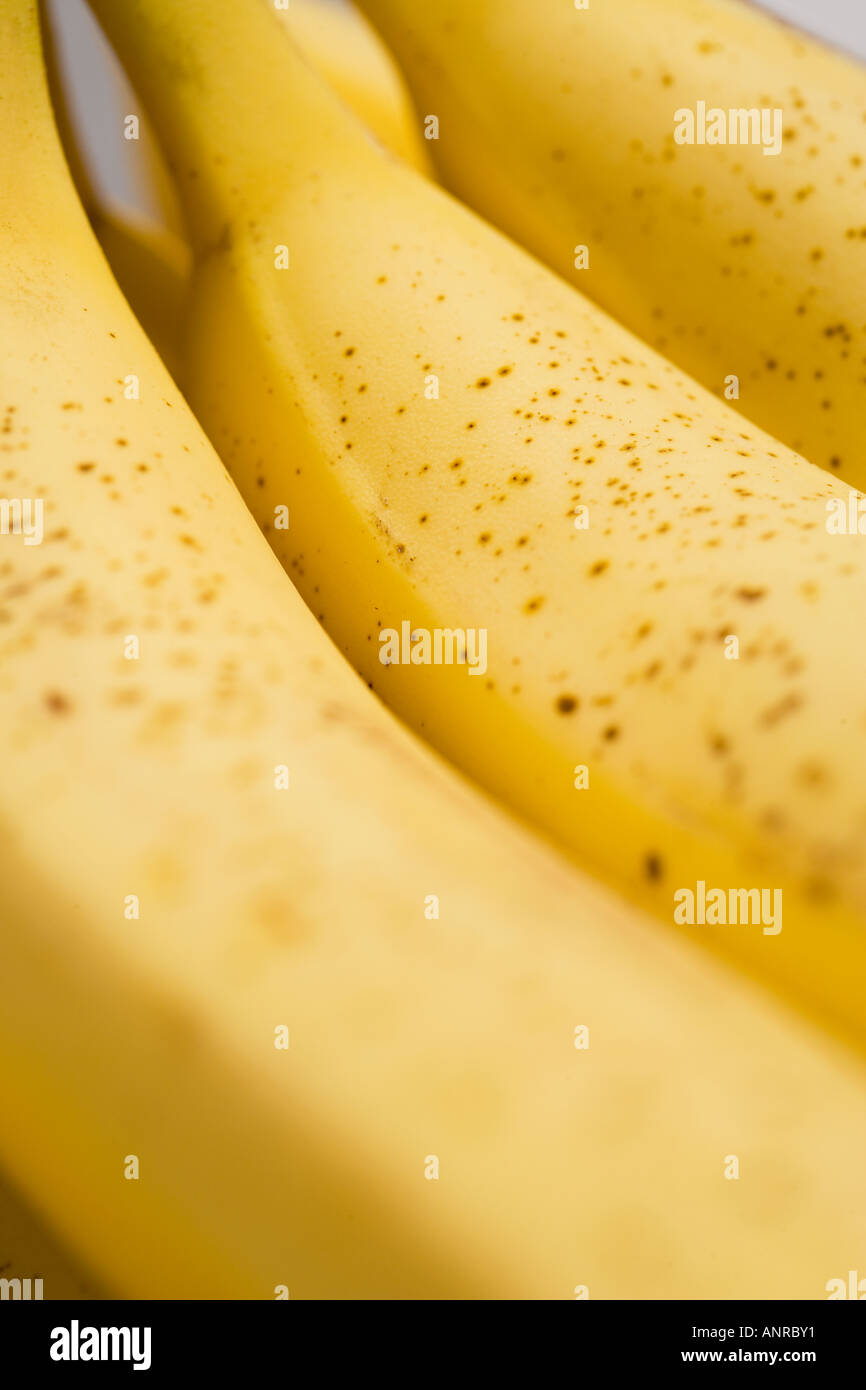 Bananas latin name hi-res stock photography and images - Alamy