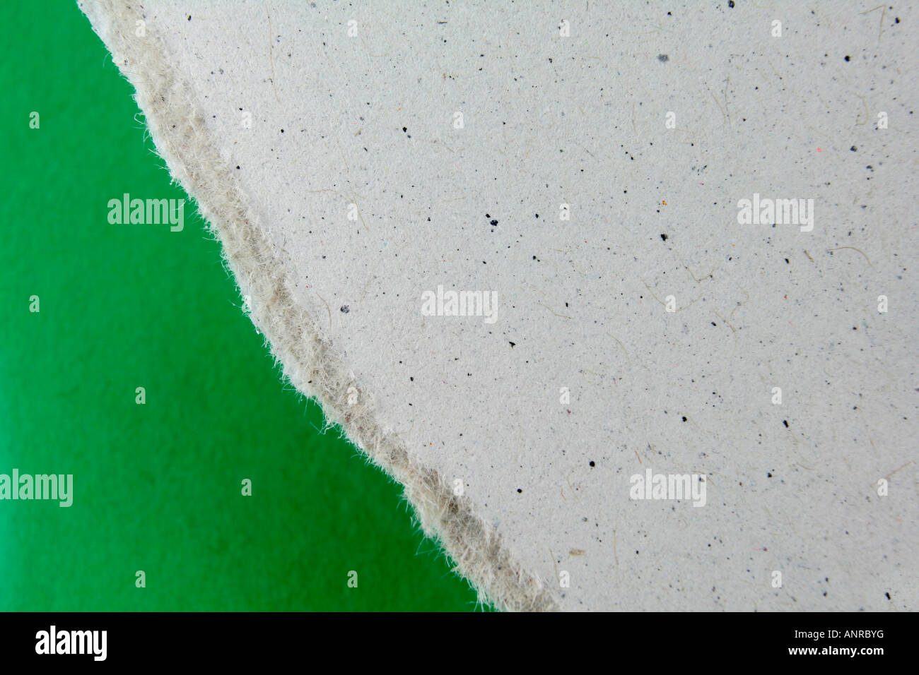 Pulping paper hi-res stock photography and images - Alamy