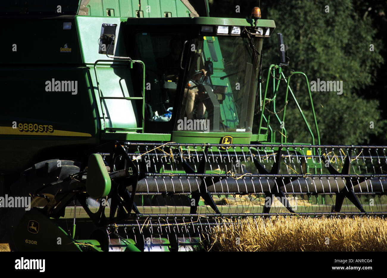 Farmer cutting crops hi-res stock photography and images - Alamy
