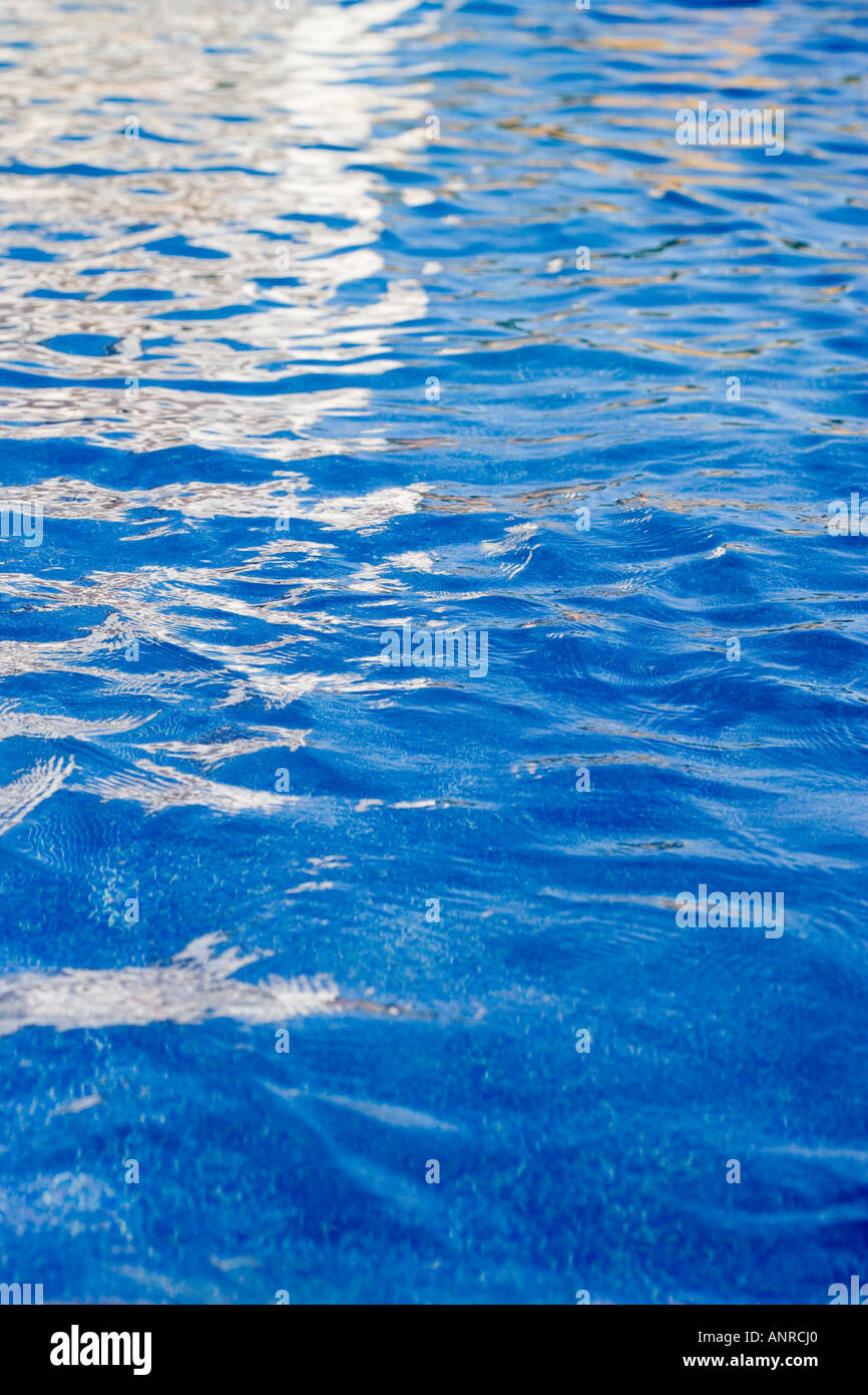 COMMON NAME: Water Stock Photo - Alamy
